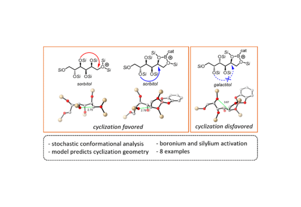 Precyclization Conformer Profiles of −SiR3+- and −Bcat+-Activated ...