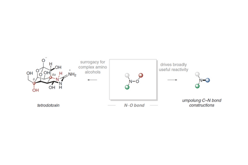 Development of New Reactions Driven by N-O Bond Cleavage: from O -Acyl ...